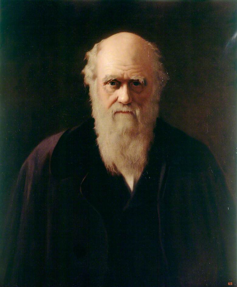 Stampe Di Qualità Del Museo Charles Darwin (1809-1882) (dopo John ...